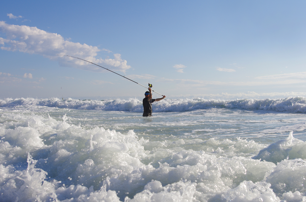 Brighton Cast - Marlborough Surf Fishing Club